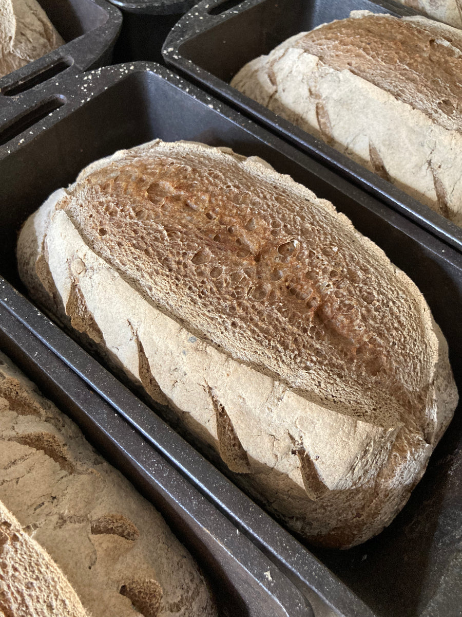 100 Hour Extra Sour California Brown Rice Sourdough Loaf – 100% Vegan ...