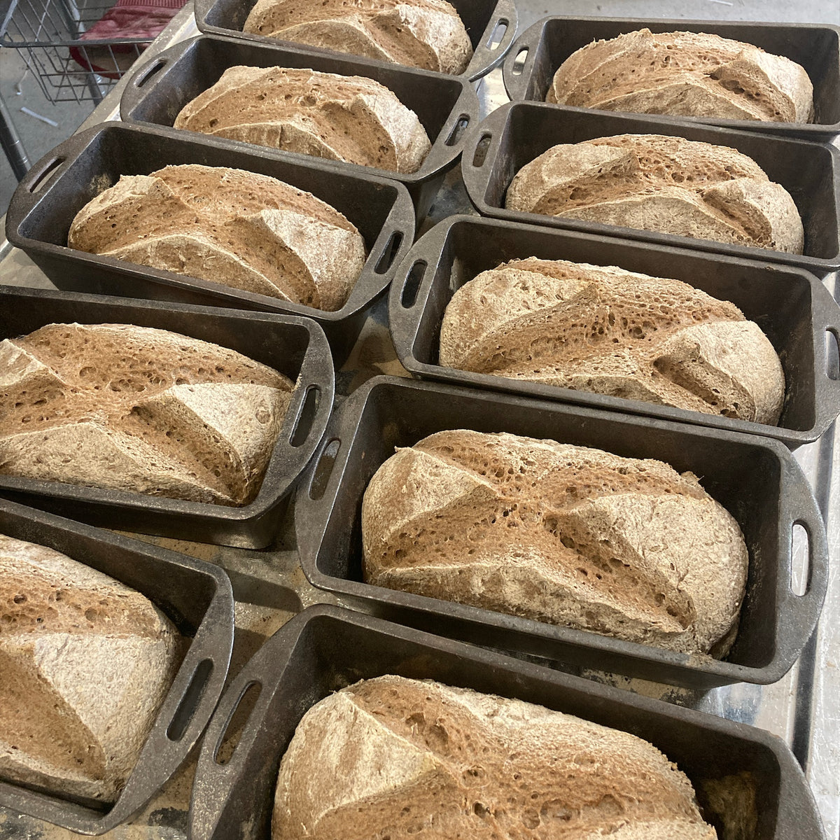 Rye-less Buckwheat EXTRA-SOURdough Loaf – 100% Vegan Mario's